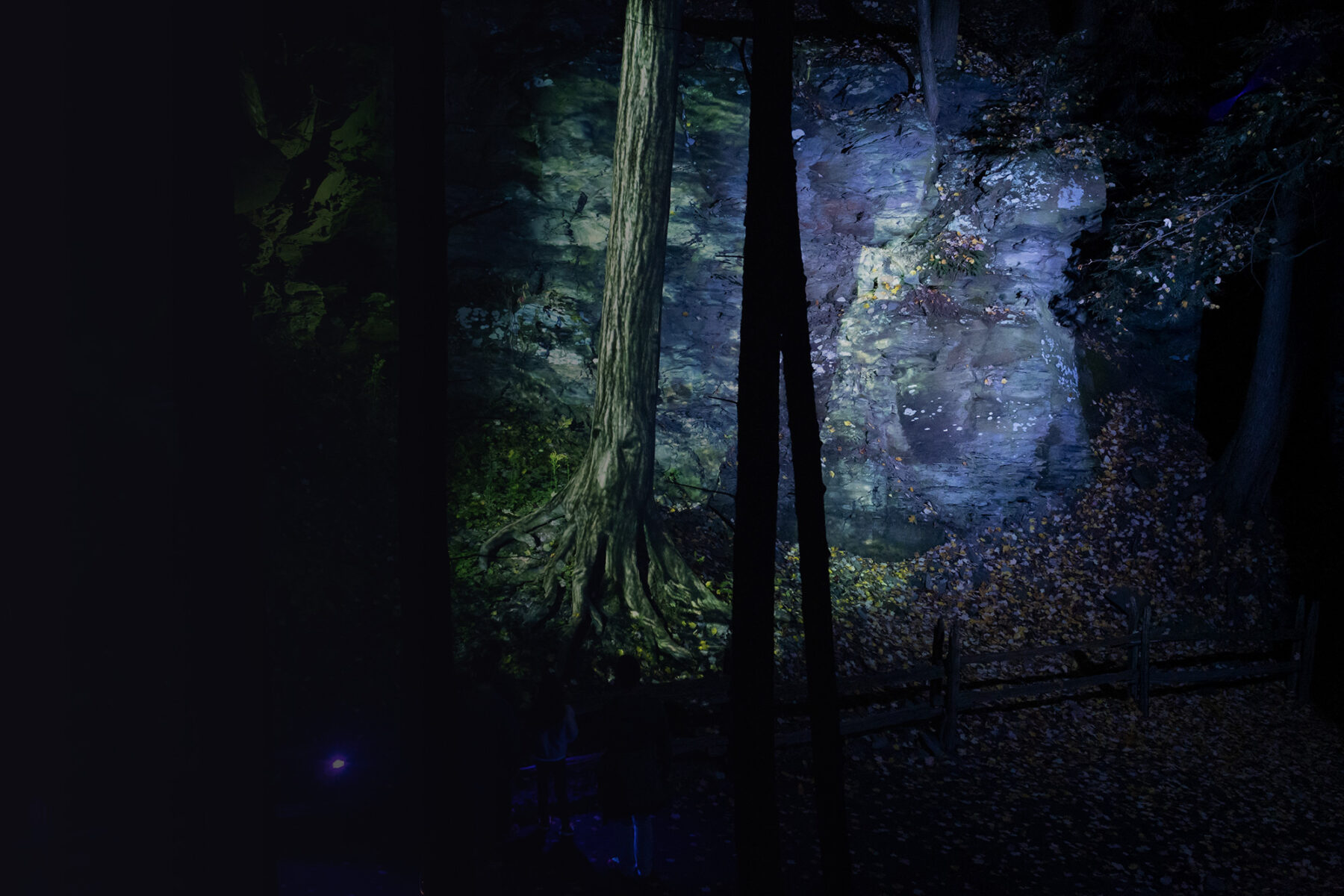 Foresta Lumina - Night Course at Parc de la Gorge de Coaticook